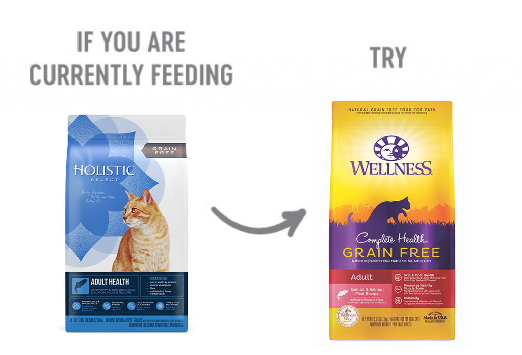 Holistic Select Transition Guide | Wellness Pet Food Japan