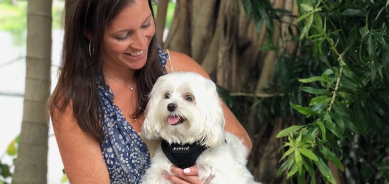 Dr. Alison’s Top Tips On Keeping Your Pet Safe On The Fourth of July ...